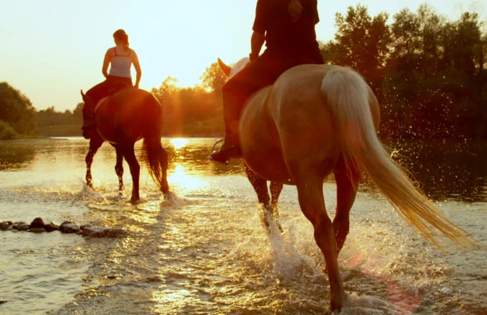 A guide to horseback riding in Normandy (Part 1) – La Piece Paris